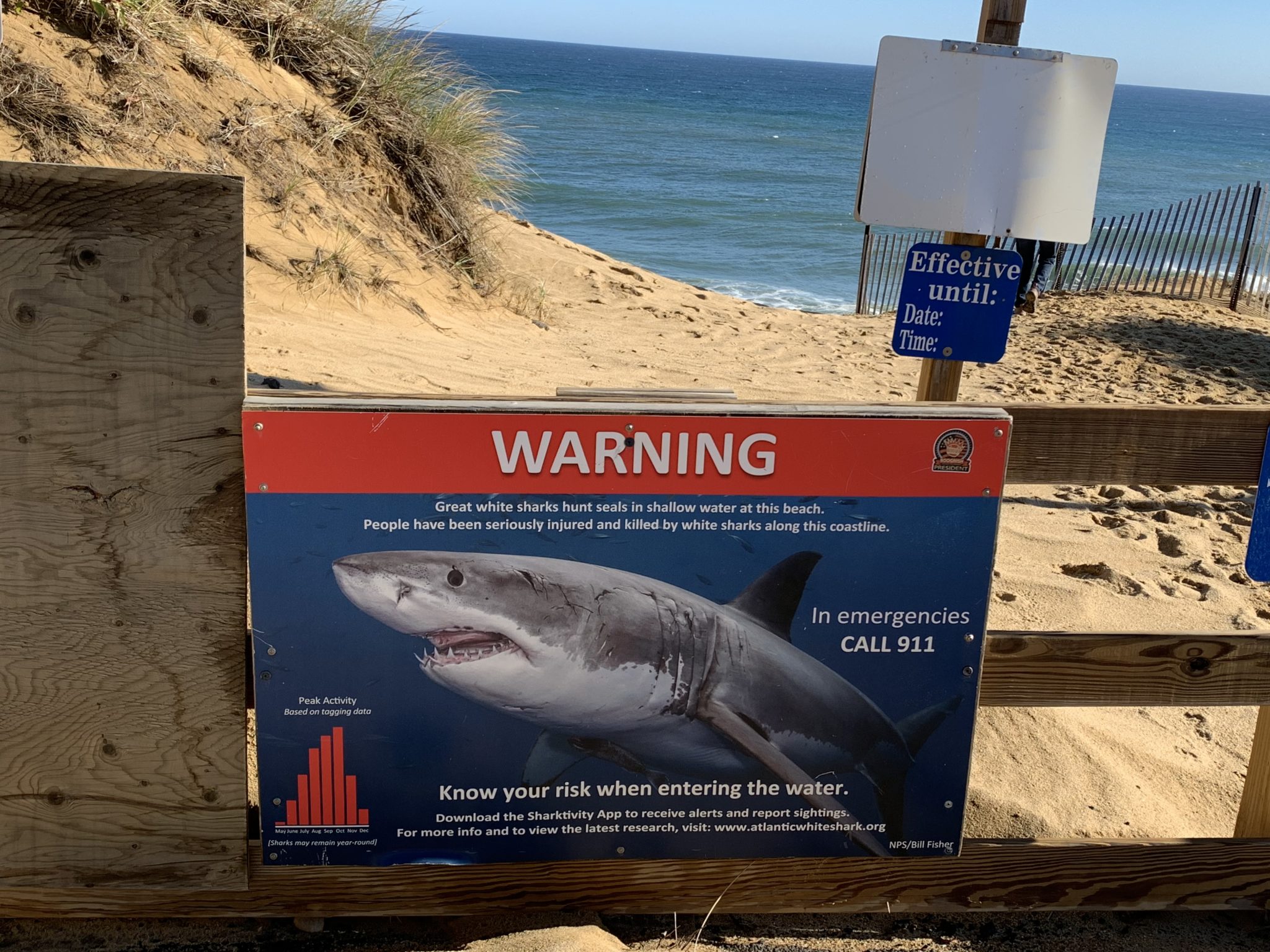 The Return of the Seal – Saw Mill River Audubon